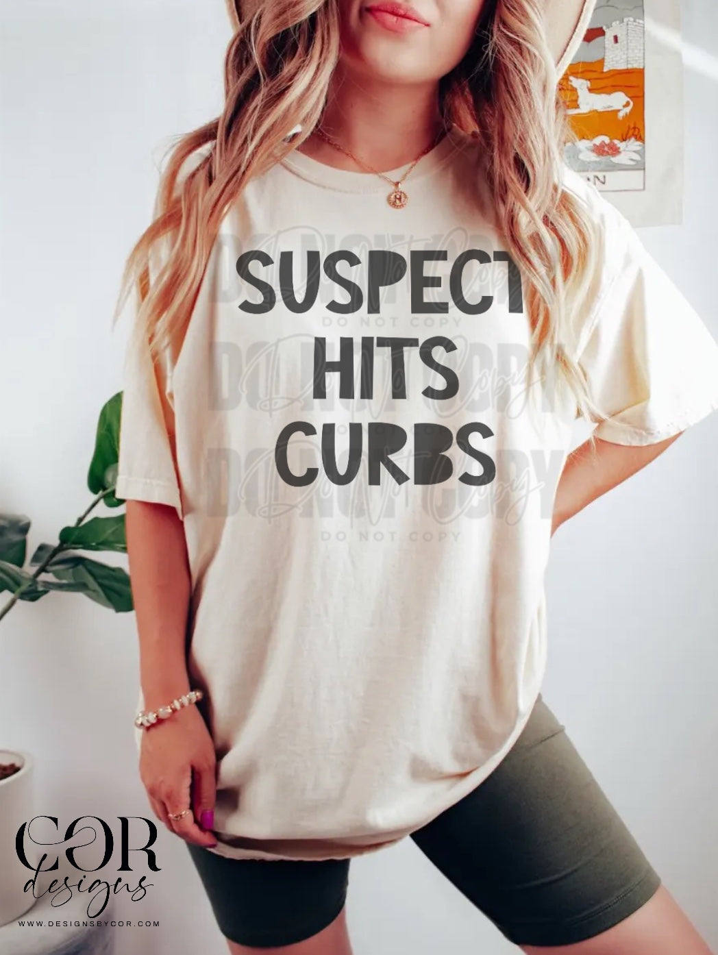 Suspect hits curbs – Earthline Customs