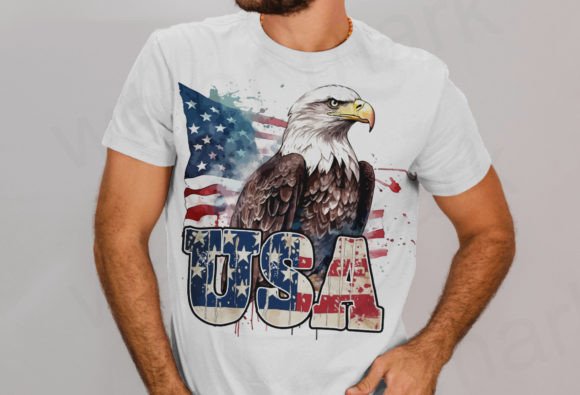 USA Eagle And Flag – Earthline Customs